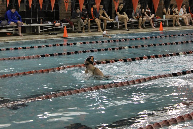 Linsly’s Behm to Swim at Allegheny | News, Sports, Jobs - The Intelligencer